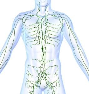 Oedeemtherapie (manuele lymfedrainage)